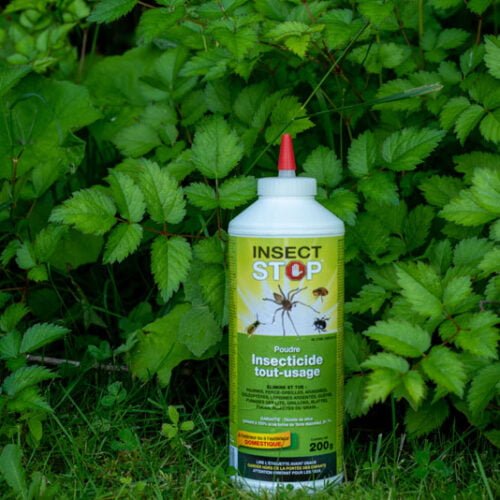 Insect Stop Insecticide Tout-Usage - Intérieur et Extérieur 200g - Aerokure