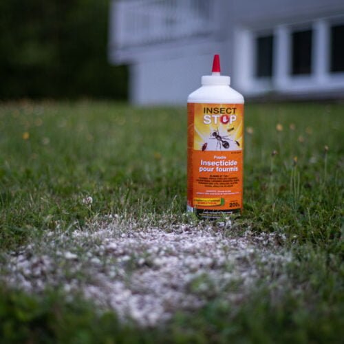 Insect Stop Insecticide for Ants – Interior and Exterior 200g - Aerokure